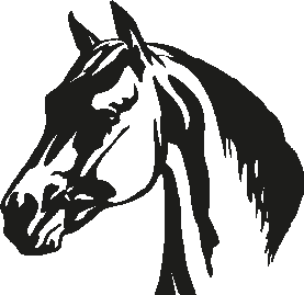 horse head – Tiara Connection Quality Discount Crowns and Sashes